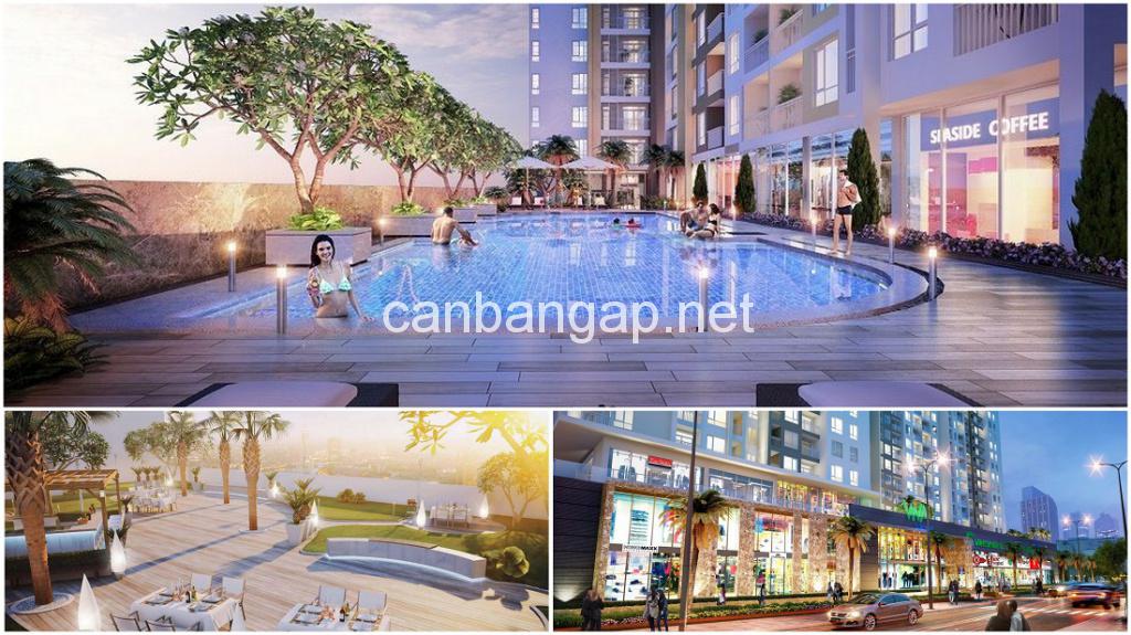 Giới thiệu – Vị trí Căn hộ Viva Riverside | Cập nhật tháng 02/2024